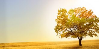 The Transition to Fall: Autumn Climates in Mexico