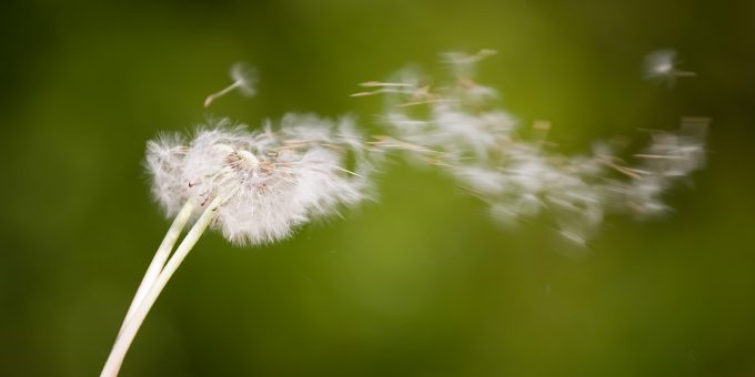 Heaven’s Breath: the Wonder of Mexico’s Mystical Wind